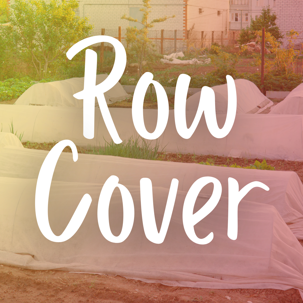 The Power of Row Covers for Frost Protection and Extended Growing Seas ...