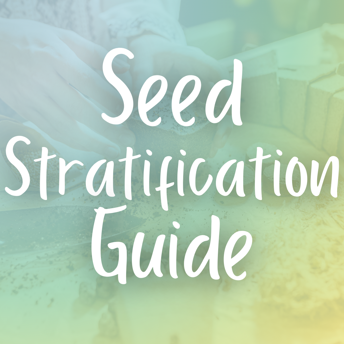 The Essential Guide to Stratification – Scott's Nursery Ltd.