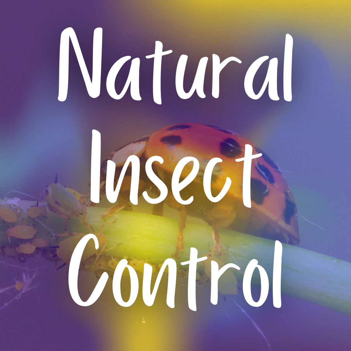 Natural Insect Control – Scott's Nursery Ltd.