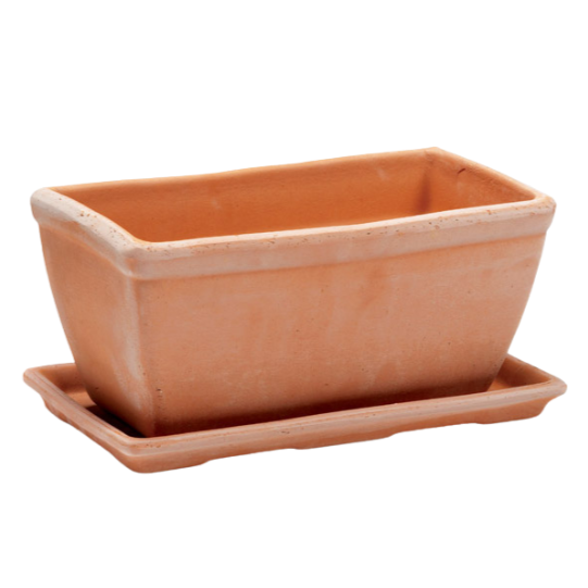 Decorative Plant Pots & Accessories – Scott's Nursery Ltd.