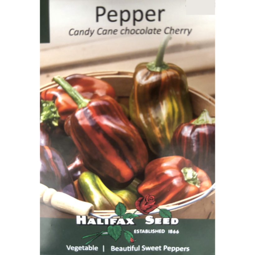 Halifax Seed Pepper Candy Cane Chocolate Cherry Pkg. – Scott's Nursery Ltd.