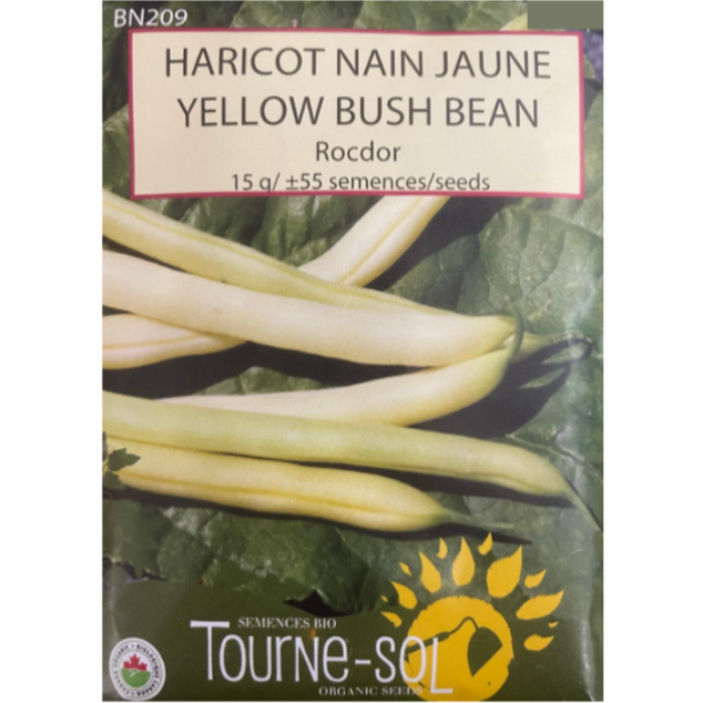 Tourne-Sol Beans Bush Rocdor Yellow Pkg. – Scott's Nursery Ltd.