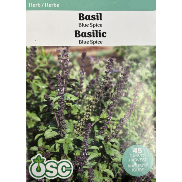 OSC Herb Seeds Basil Blue Spice Pkg. – Scott's Nursery Ltd.