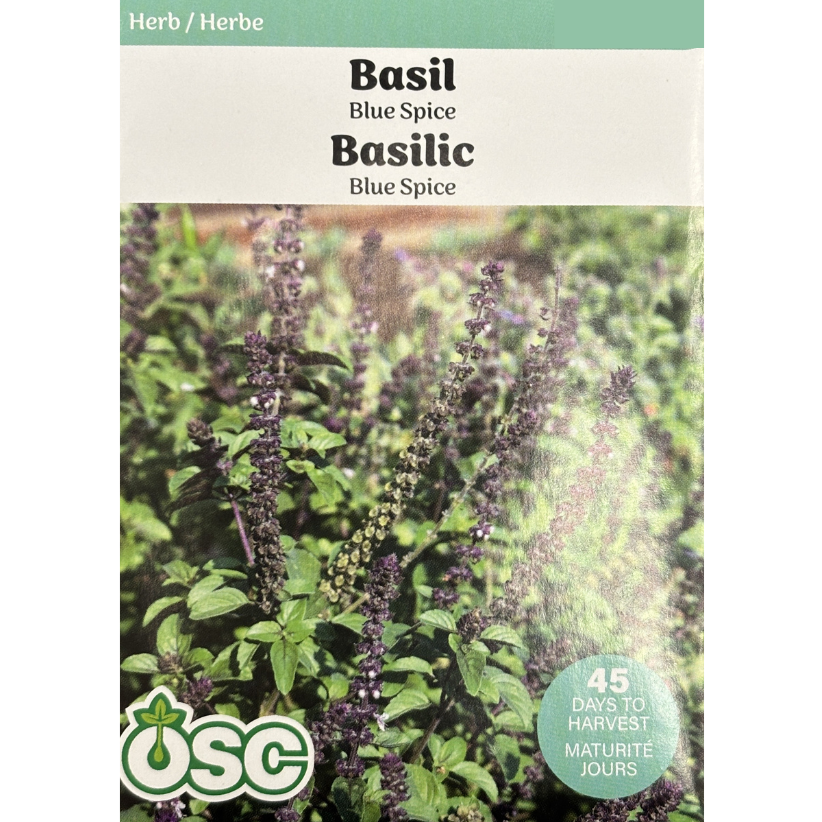 OSC Herb Seeds Basil Blue Spice Pkg. – Scott's Nursery Ltd.