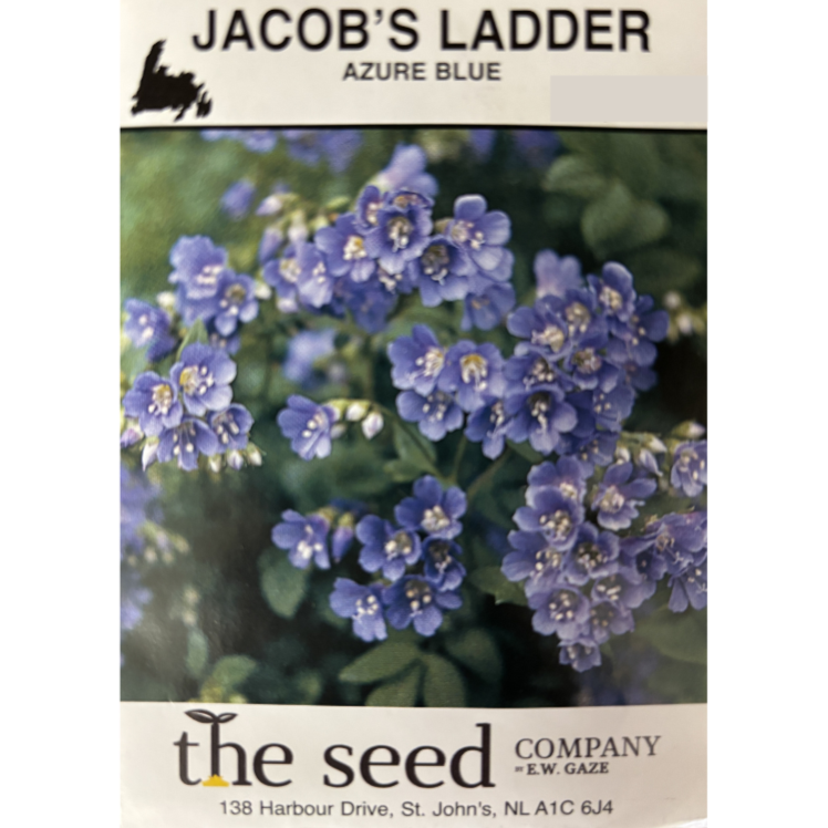 The Seed Company Jacob's Ladder Azure Blue Pkg. – Scott's Nursery Ltd.