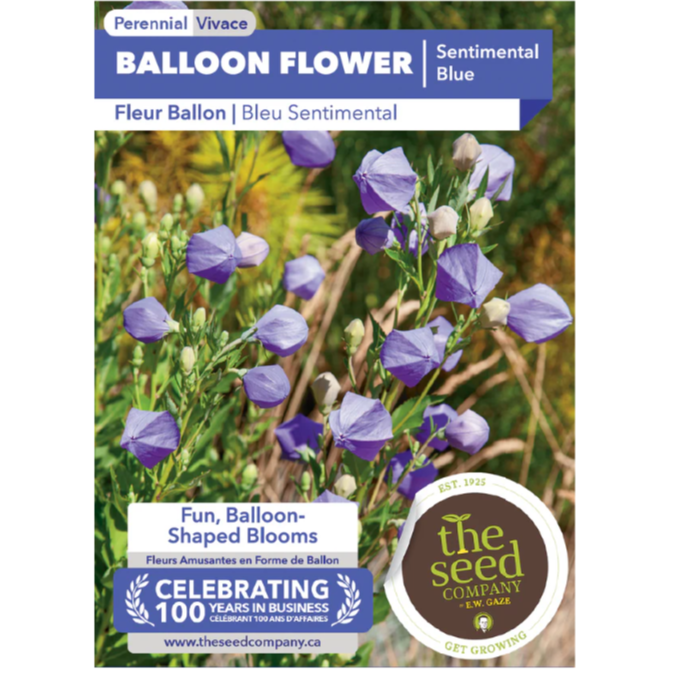 The Seed Company Balloon Flower Sentimental Blue Pkg. – Scott's Nursery ...