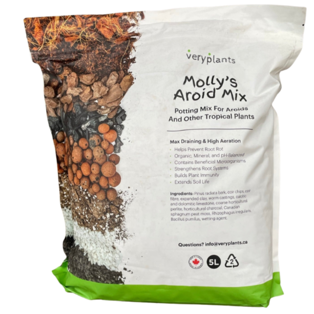 Molly's Aroid Mix 5.5L – Scott's Nursery Ltd.